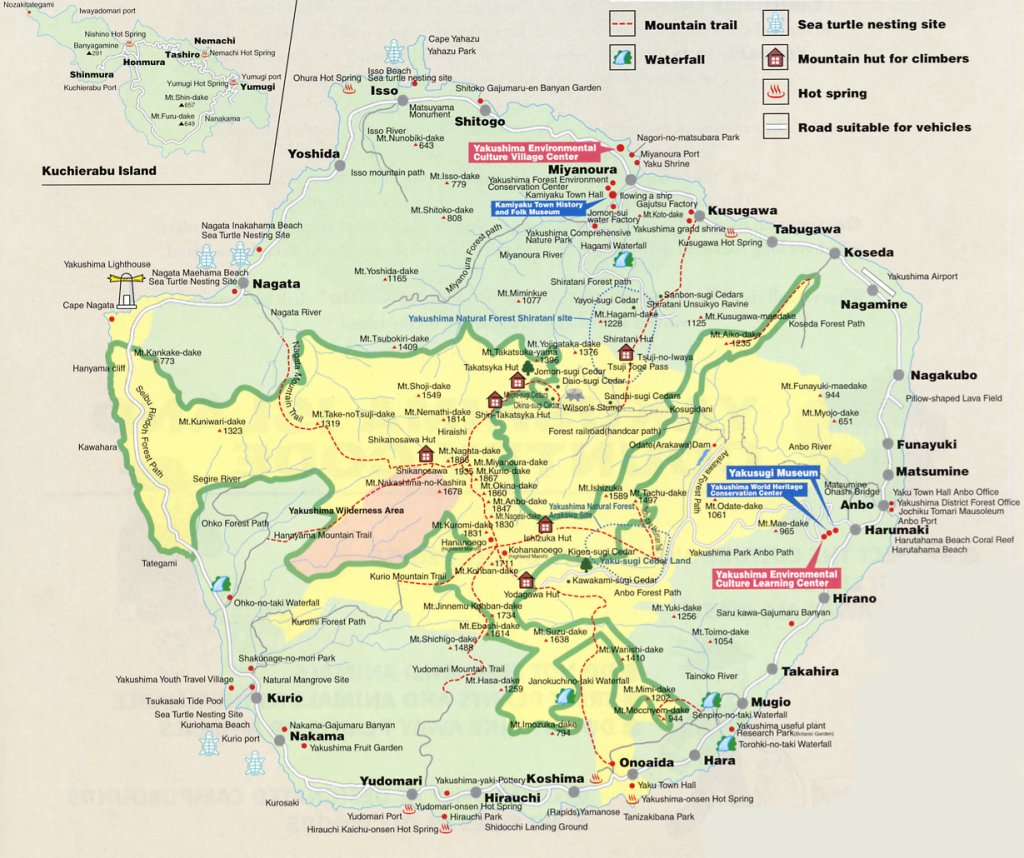 Yakushima Island - A Complete Guide | thetripgoeson